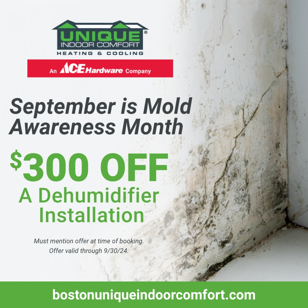 Importance of Balanced Humidity in Your House | HVAC Service