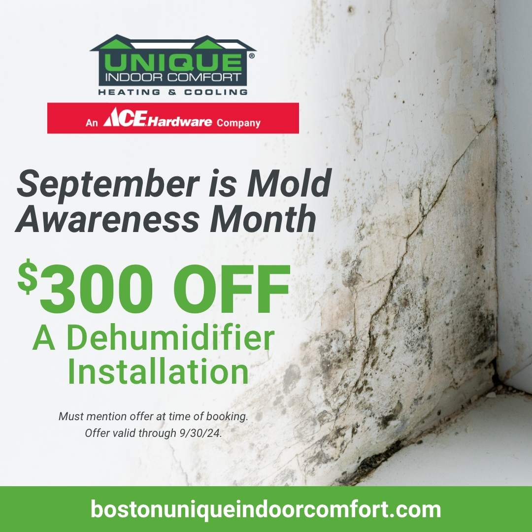 Importance of Balanced Humidity in Your House | HVAC Service